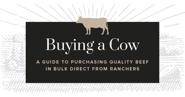Buying a Cow: A Guide to Buying Beef in Bulk Direct from Ranchers