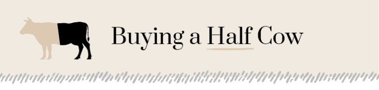 Buying a Cow: A Guide to Buying Beef in Bulk Direct from Ranchers