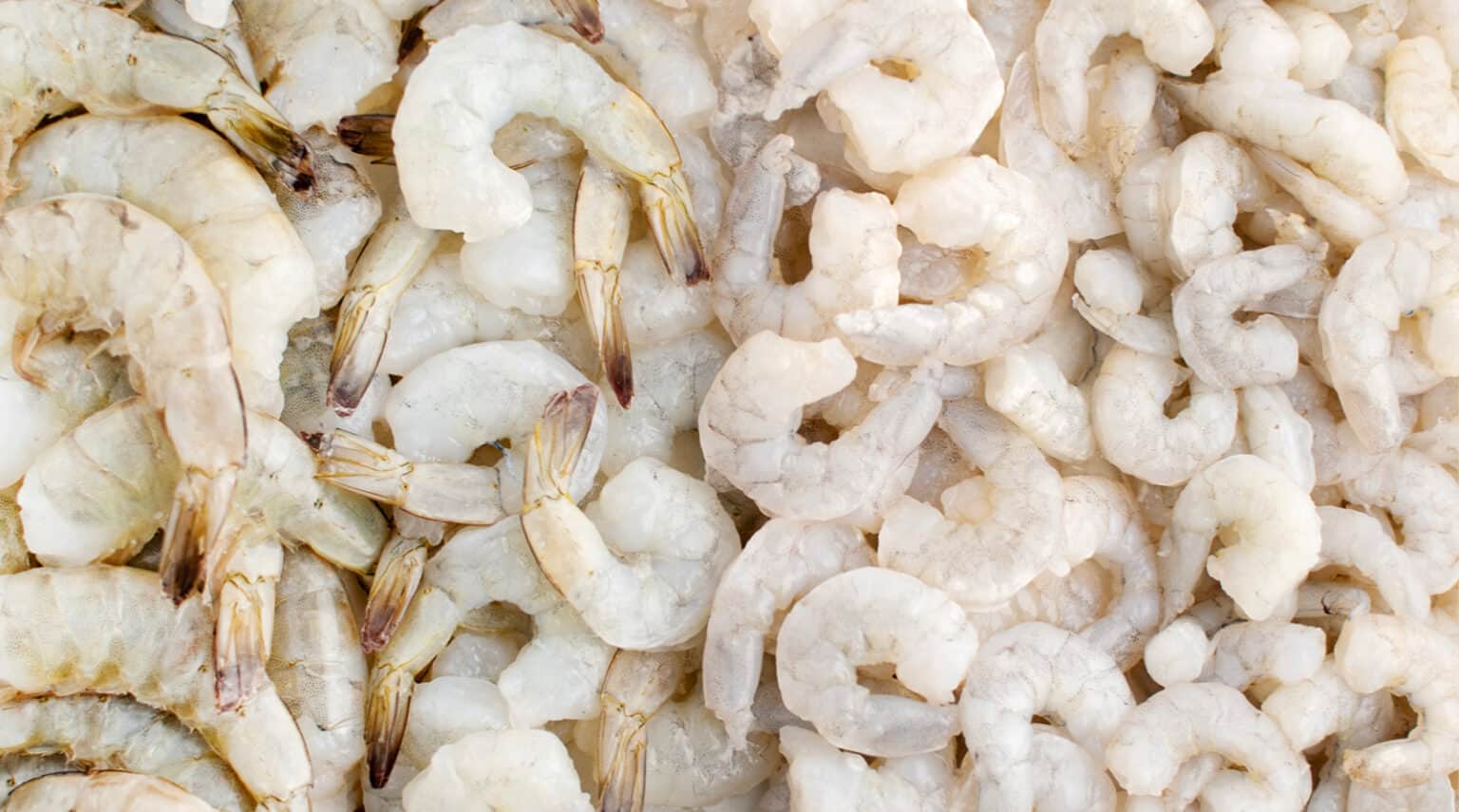 Shrimp Sizes And Counts Per Pound W Shrimp Size Chart