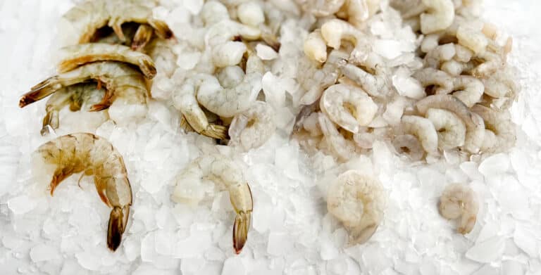 Shrimp Sizes and Counts per Pound (w/Shrimp Size Chart!)