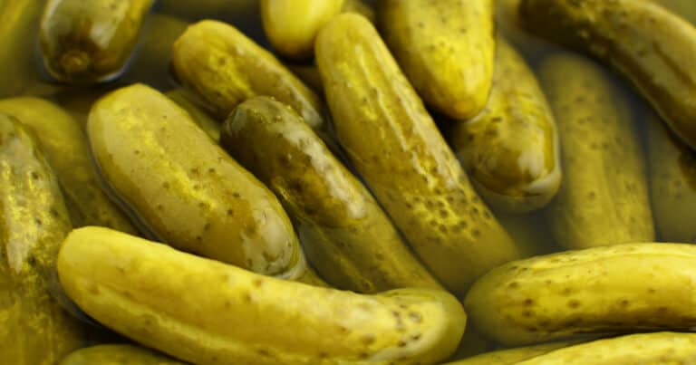 Do Pickles Go Bad? (Yes! Here Are All the Juicy Details.)