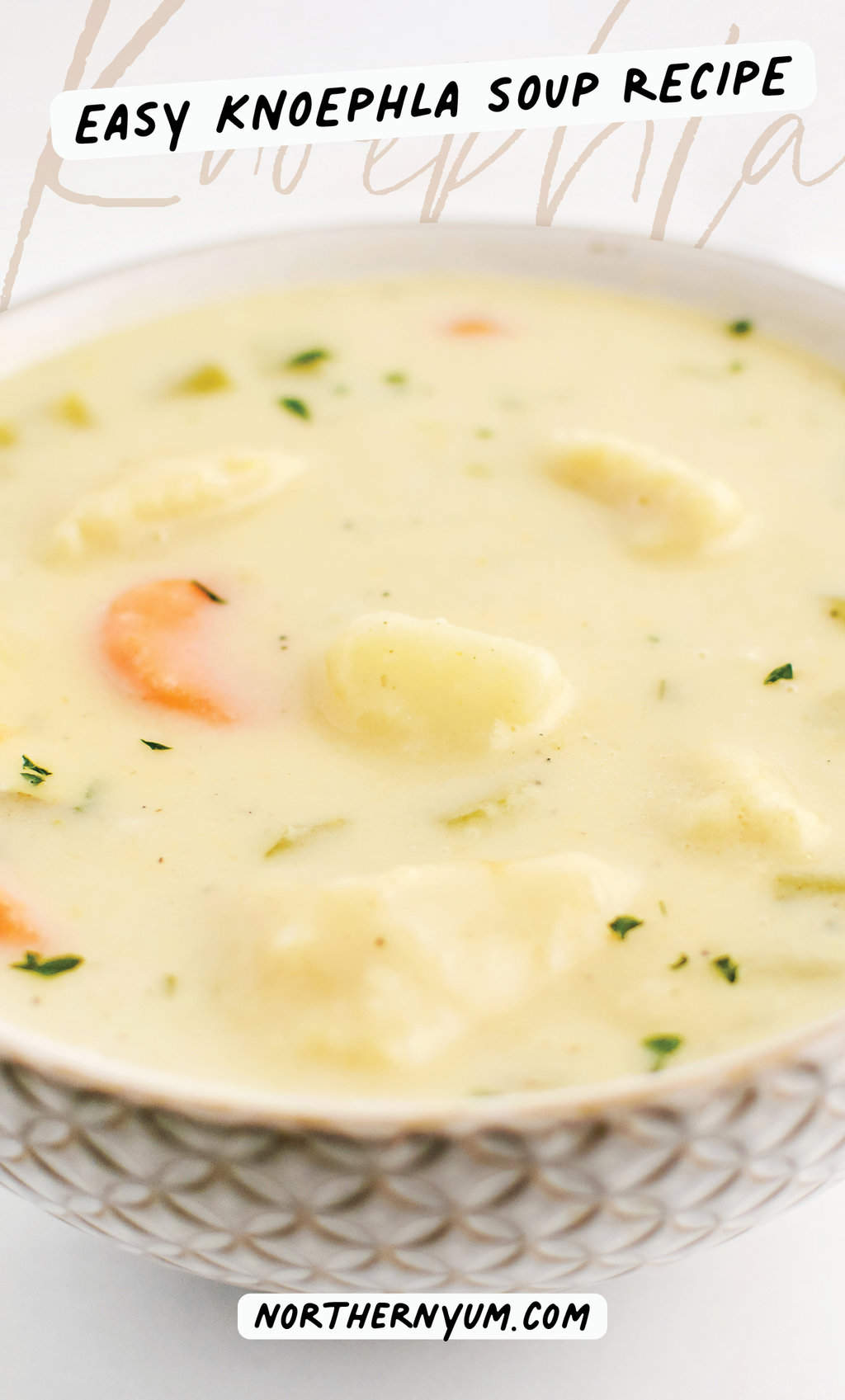 Homemade Knoephla Soup (Potato & Dumpling Soup - So Easy!)