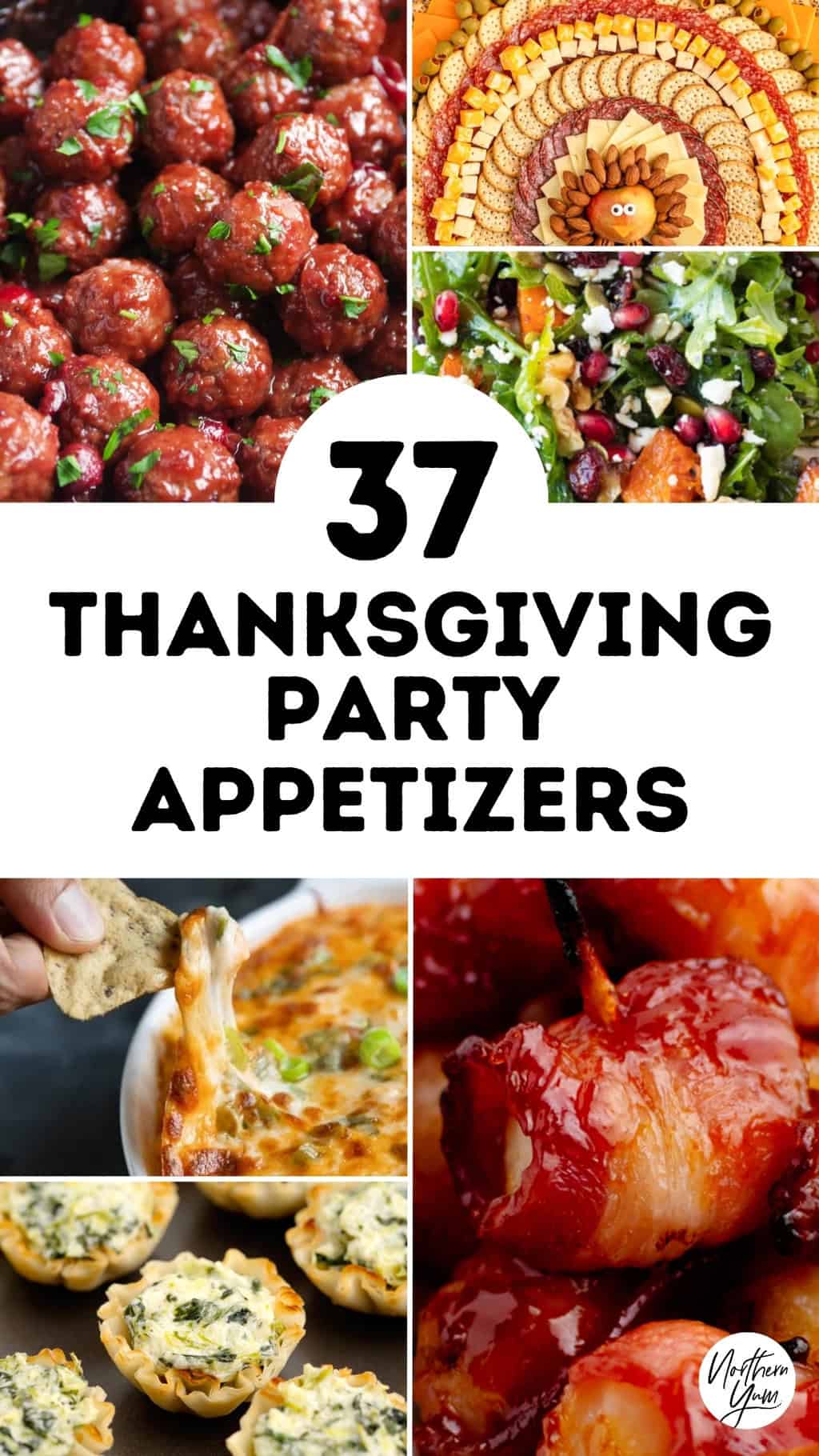 37+ Delicious Thanksgiving Appetizers To Kick Off Your Feast - Northern Yum