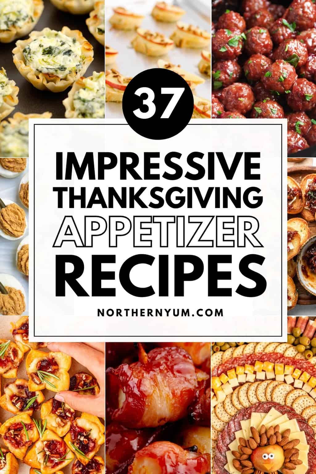 37+ Delicious Thanksgiving Appetizers To Kick Off Your Feast - Northern Yum